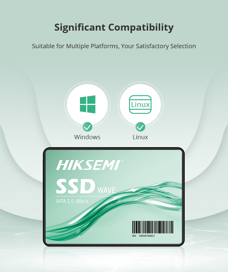 SSD HIKSEMI WAVE 2.5″ SATA 256GB | Quadra Computer